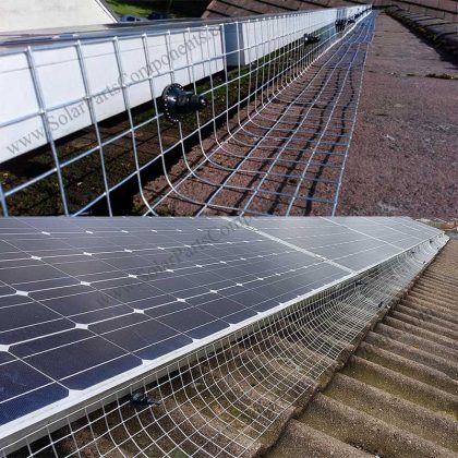 Solar panel bird guard effectively prevents pigeons nesting